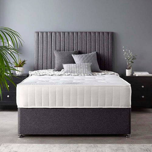 Emma Divan – PlushGlobal